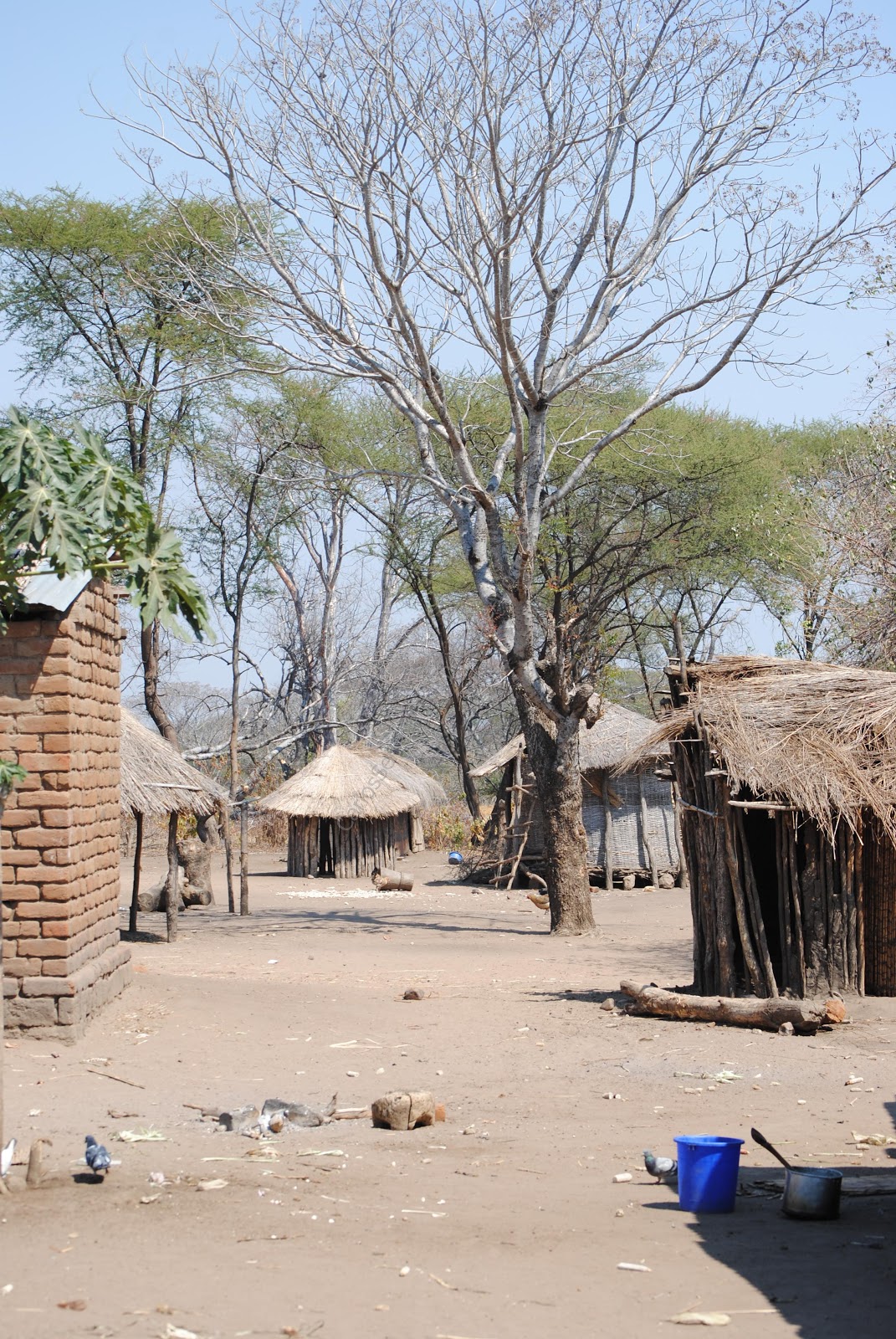 Diário de um sociólogo: Série Tete em fotografia (40) - Chifunde