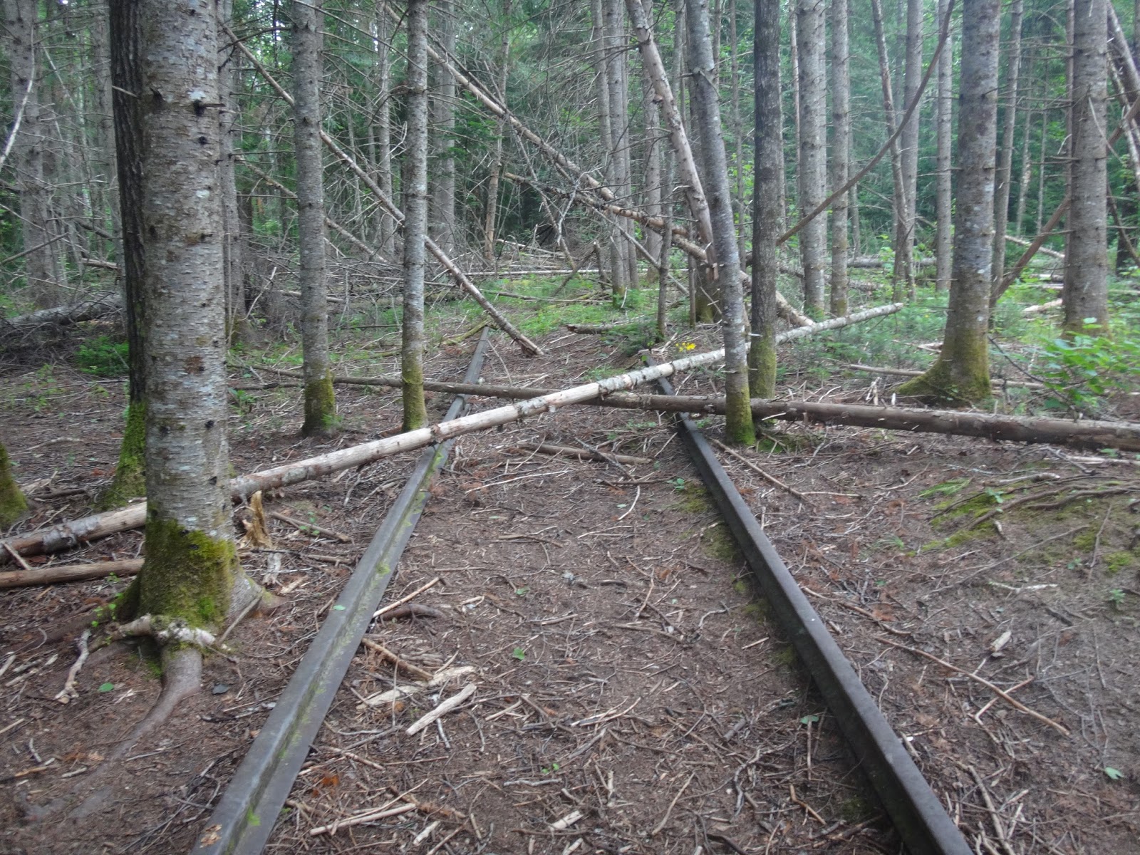 allagash wilderness locomotives