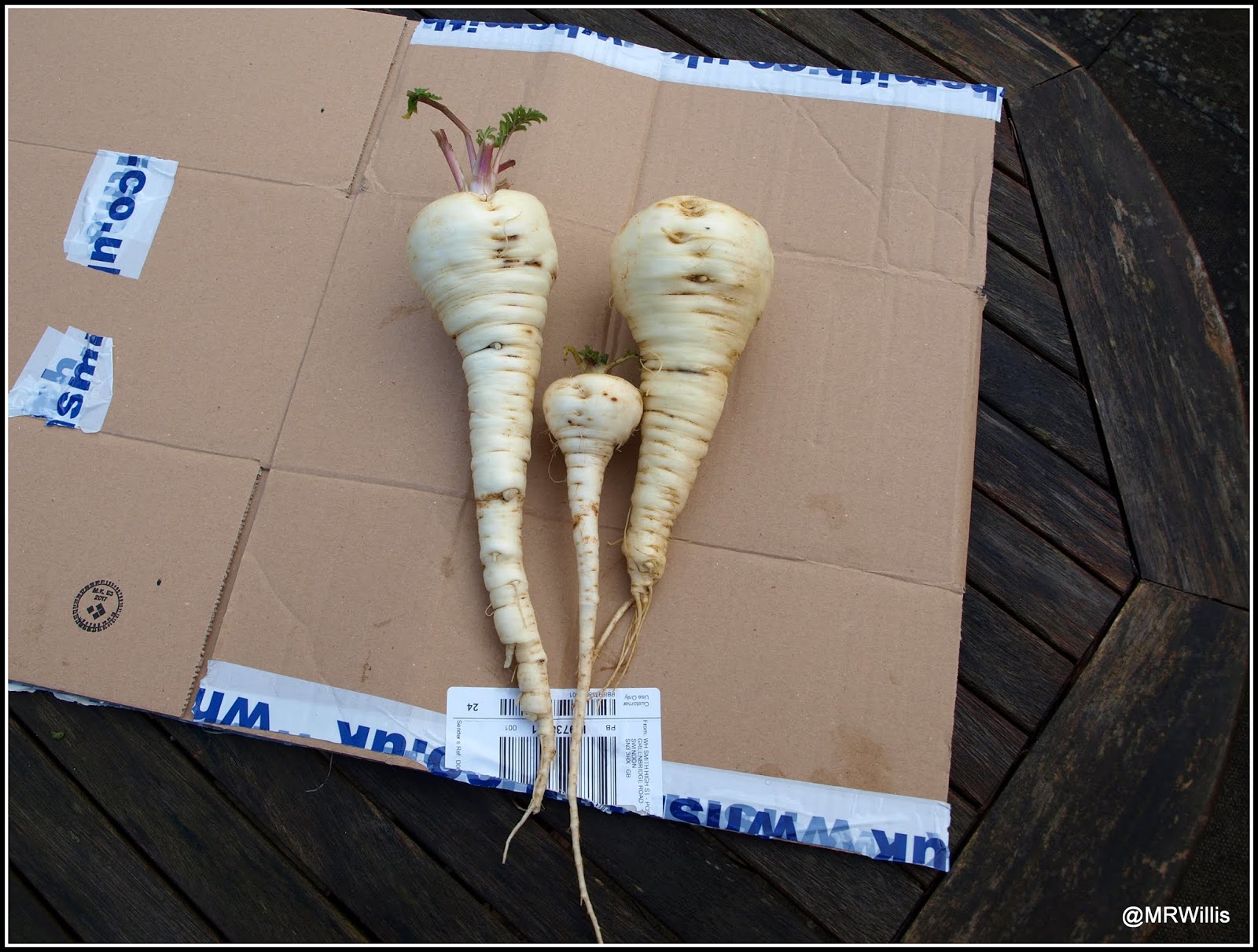 Mark's Veg Plot: Returning enthusiasm?