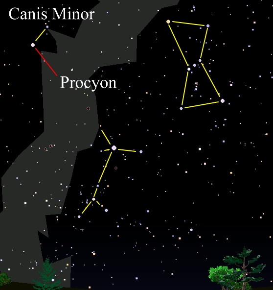 Idaho Skies: February's Star is Procyon