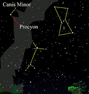 Idaho Skies: February's Star is Procyon