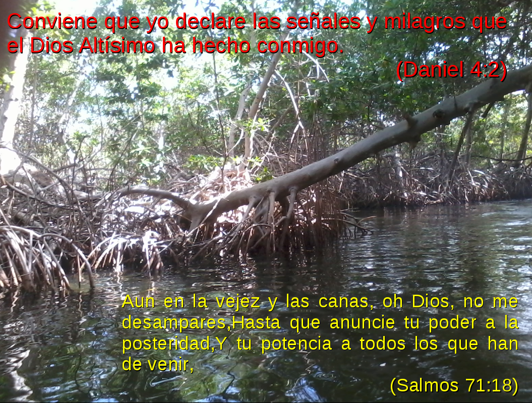 2Puntos y Coma: Milagros que el Dios Altísimo ha hecho conmigo.