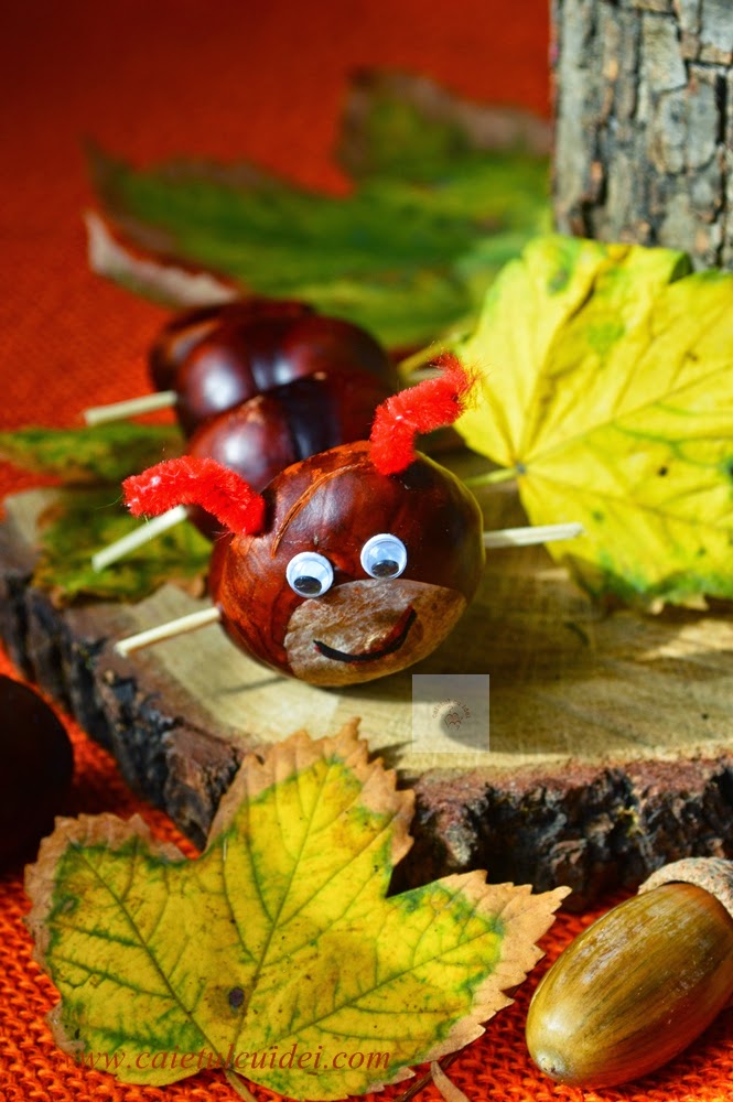 Activitati practice cu castane - CAIETUL CU IDEI