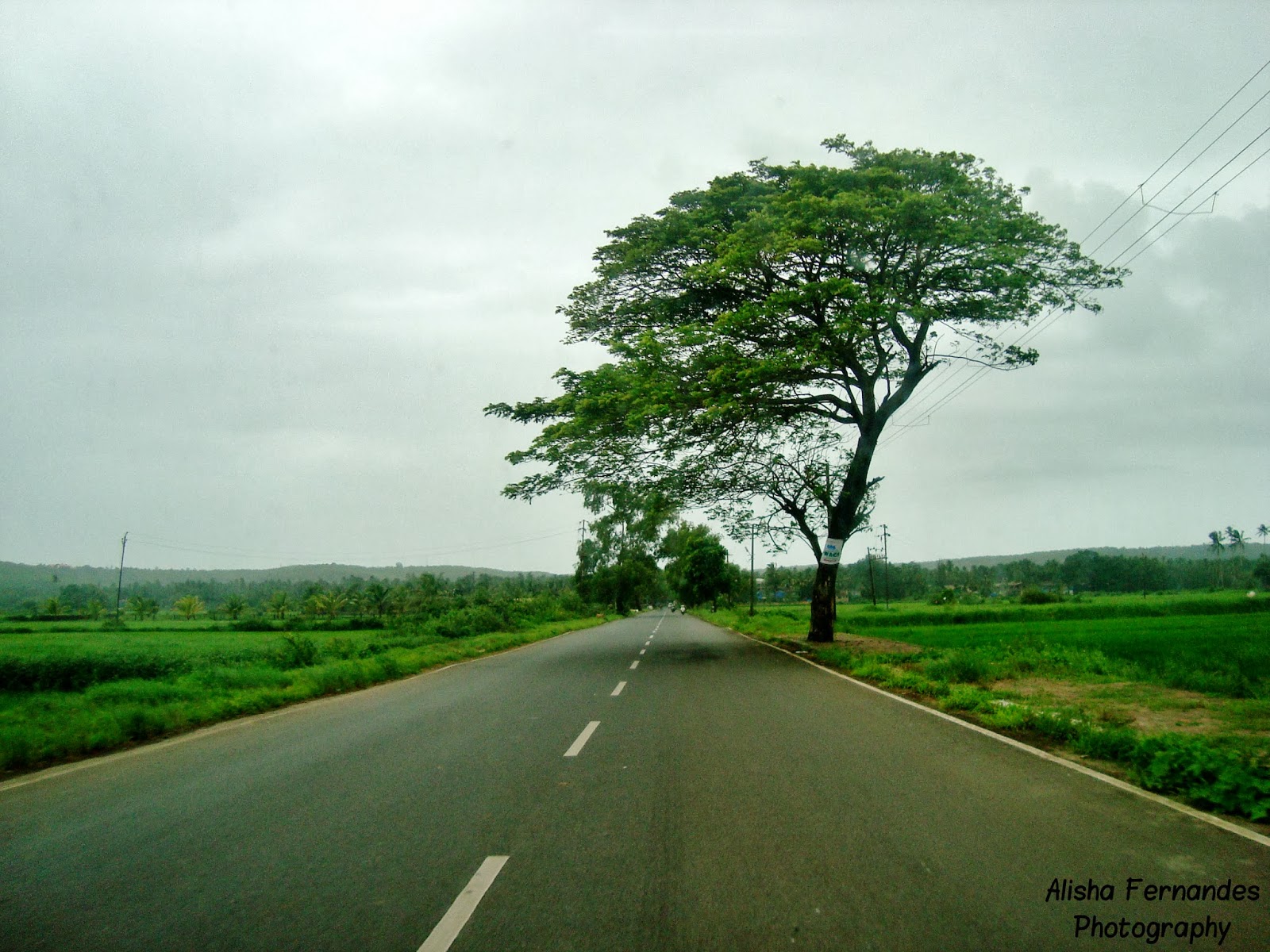 The beautiful endless road at Parra