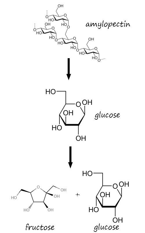 High Fructose Corn Syrup Structure