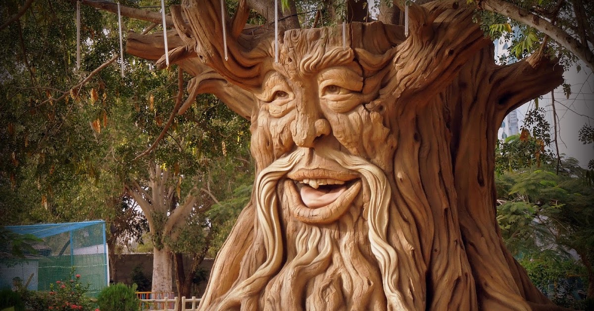 Download laughing tree wallpaper|natural photography