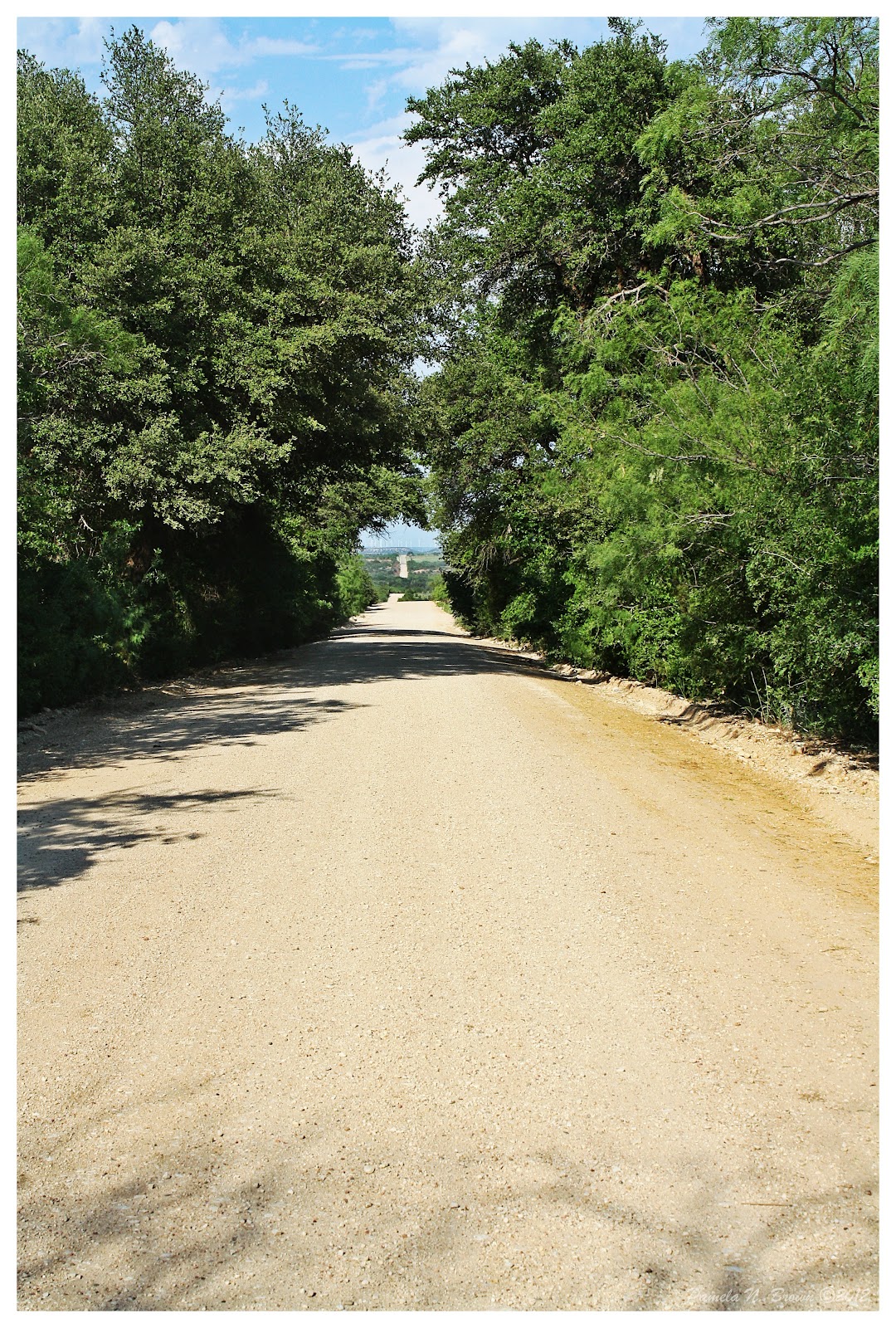 Gap, Old Home, and Roller Coasters | Pammy's World