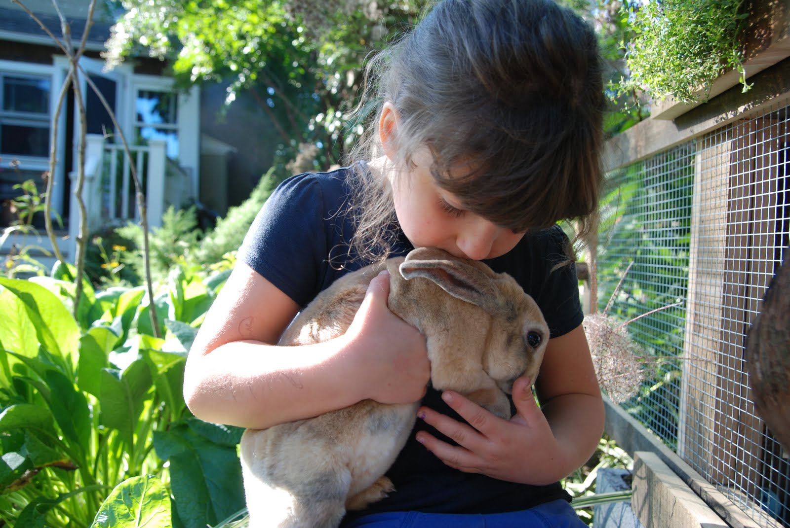 tend: rabbit friends