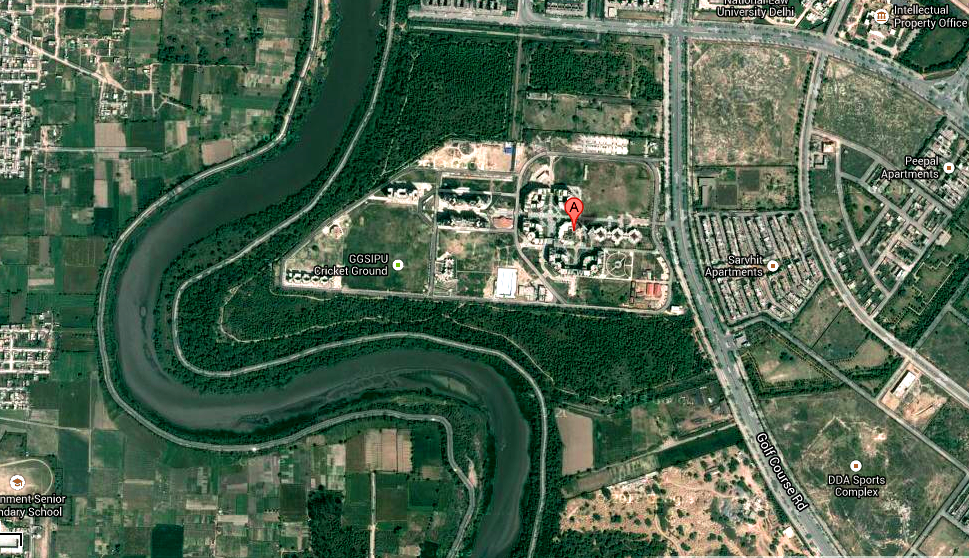 Red naped Ibis or Black Ibis (Pseudibis papillosa Temminck) near ...