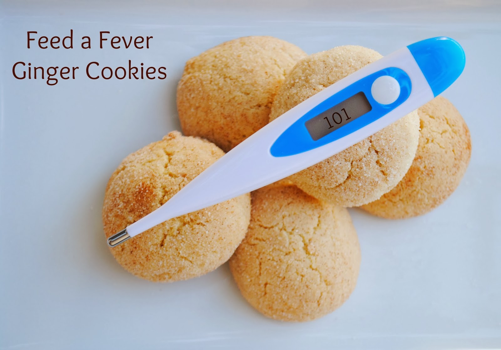 Jac o' lyn Murphy: Feed a Fever Ginger Cookies