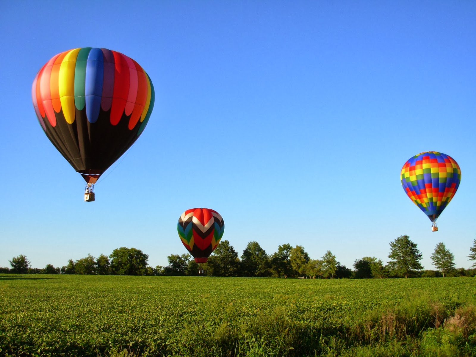 The Hot Air Balloon Festival | Number One Travel Destination
