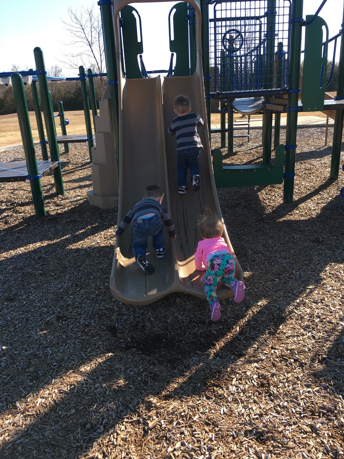 The Toddler Wrangler