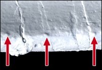 Prehistoric Beast of the Week: Velociraptor: Beast of the Week