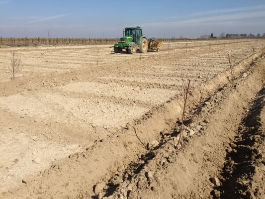 This Week on the Farm: Almond Planting and A Presidential Visit