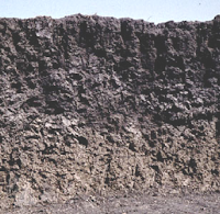 Pengayaan IPS SMP/MTs (KD: 1.1): JENIS TANAH DI INDONESIA DAN ...