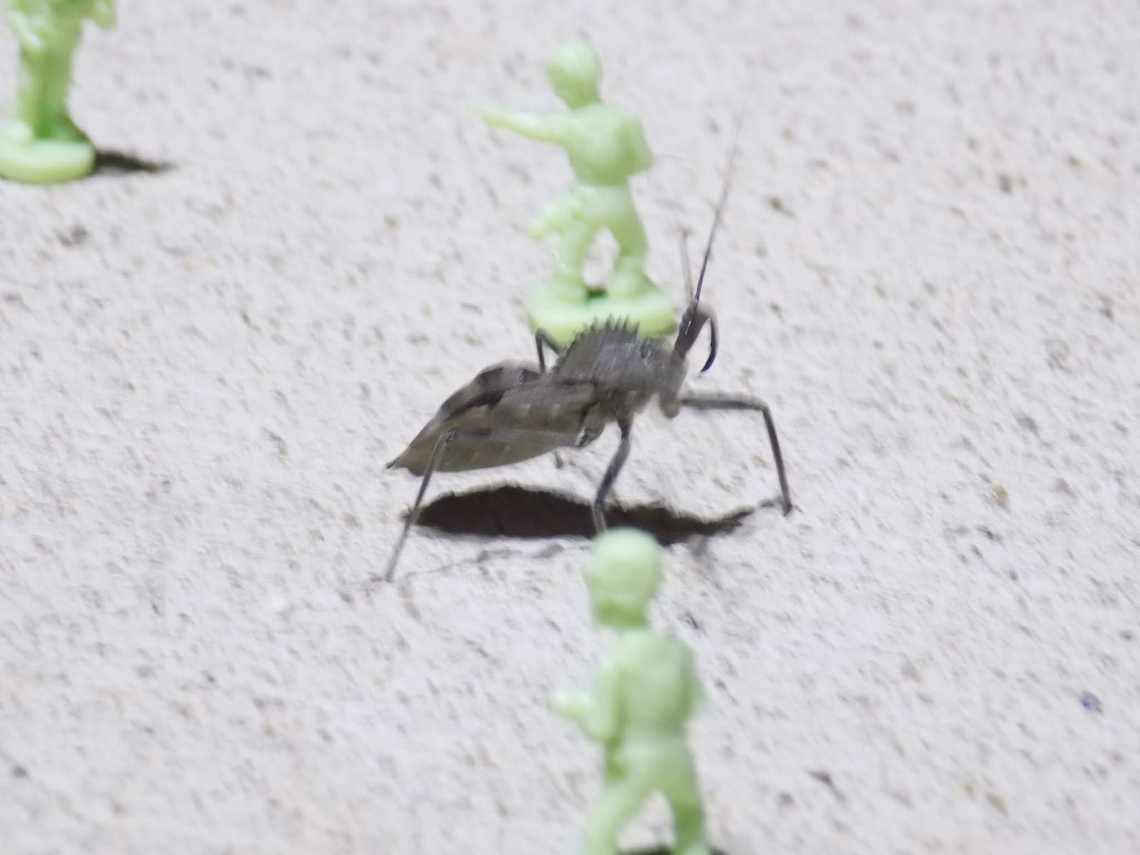 Bunker Talk: Mars vs Bugs