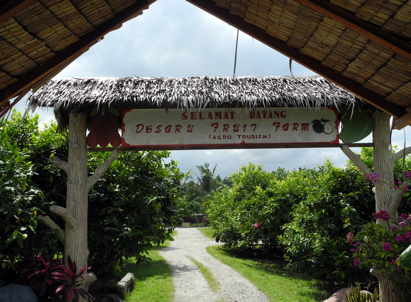 milkfrost's world: 1-Day Desaru (iv) - Fruit Farm