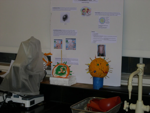 Bronxville Science Department: Honors Biology II Virus Projects