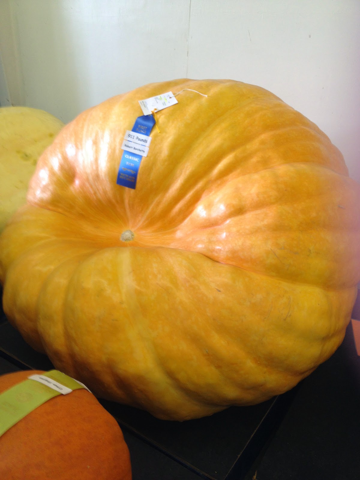 The Harris Sisters: A Day at the Local Fair