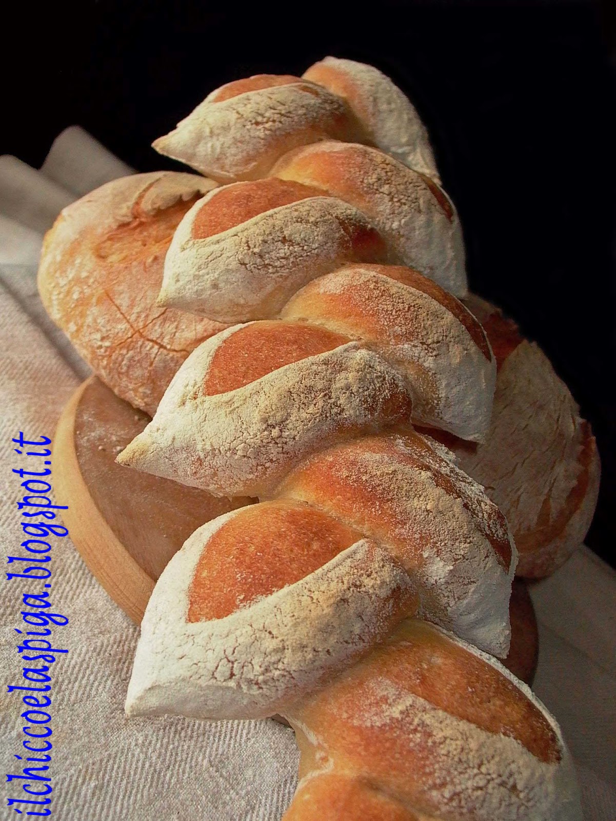 Il Chicco e la Spiga: La Spiga Francese