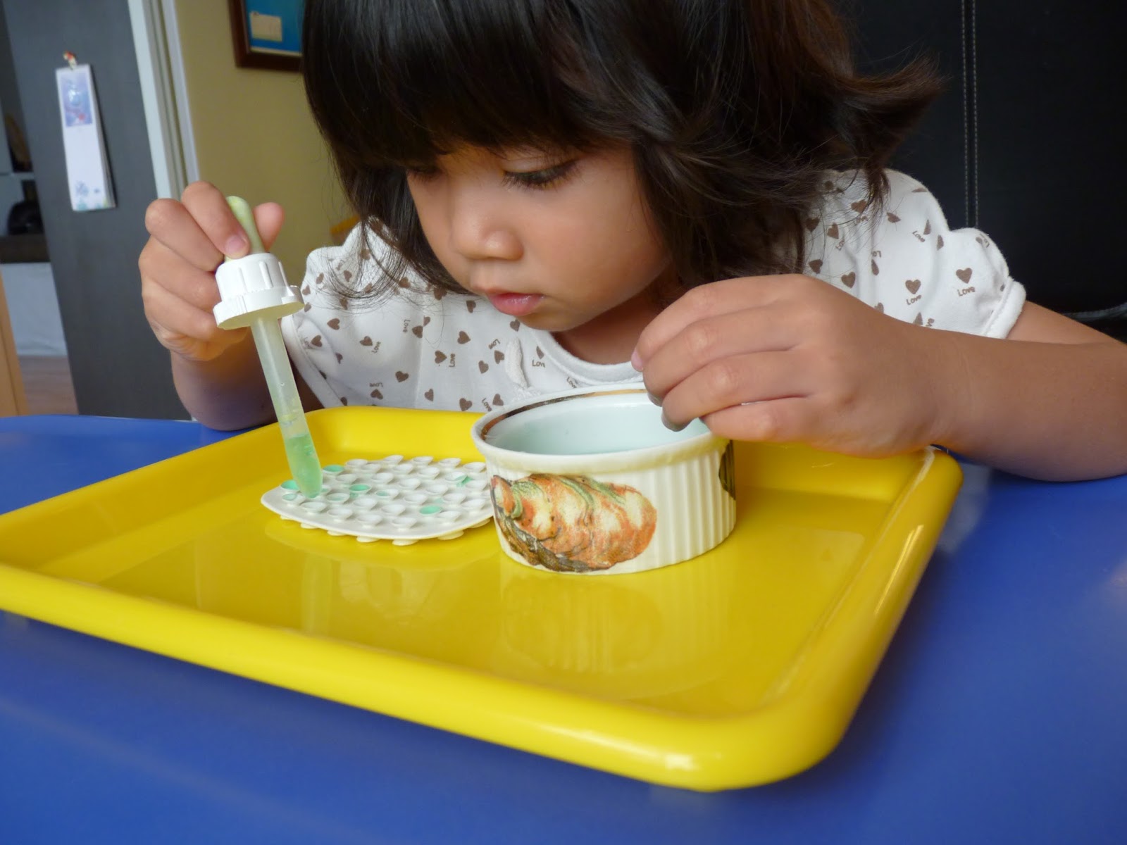 Montessori - Practical Life V - Using a dropper