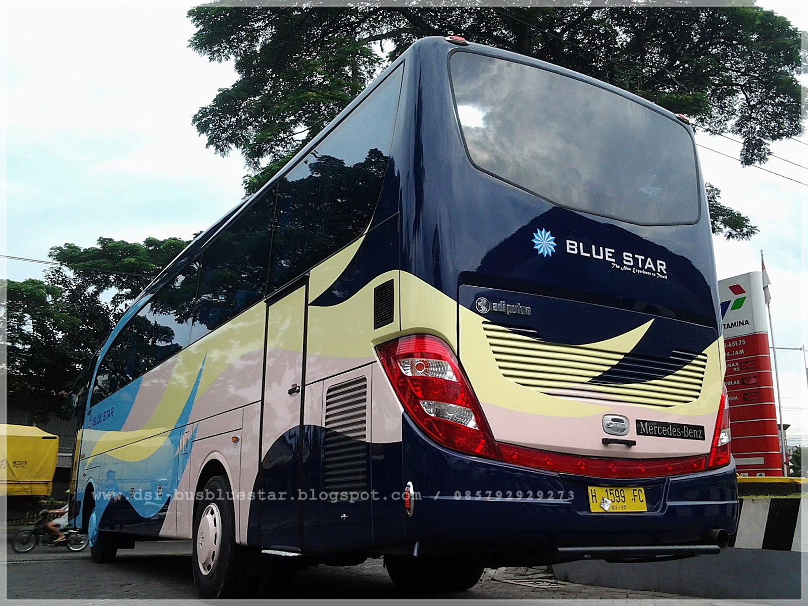 Direct Sales Representative Bus Pariwisata Blue Star : BUS BLUE STAR ...