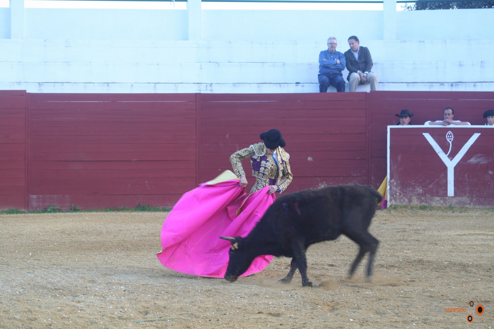 ambitotoros: Un proyecto de mujeres y toros
