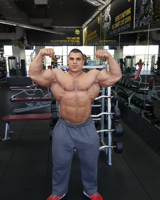 Muscle Lover: Hassan Mostafa