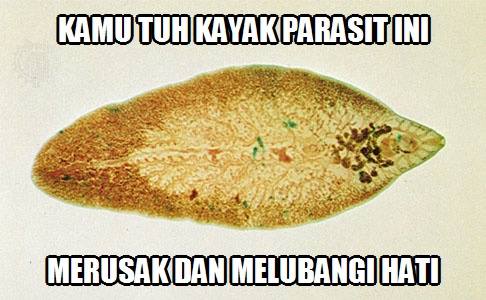 38 Meme Lucu Tentang Dunia Kesehatan - Meme Kocak Bikin Ngakak