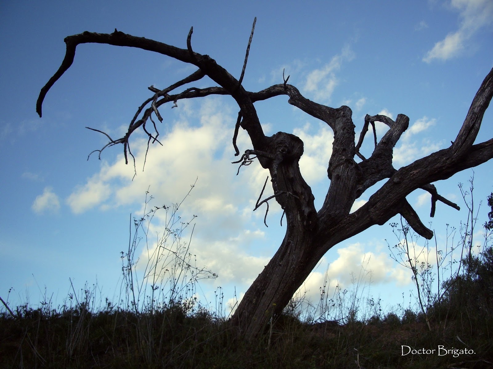 WHISPERS. Teatro, Fotografía, Libros, Lectura.: FOTOGRAFÍA. Pequeñas ...