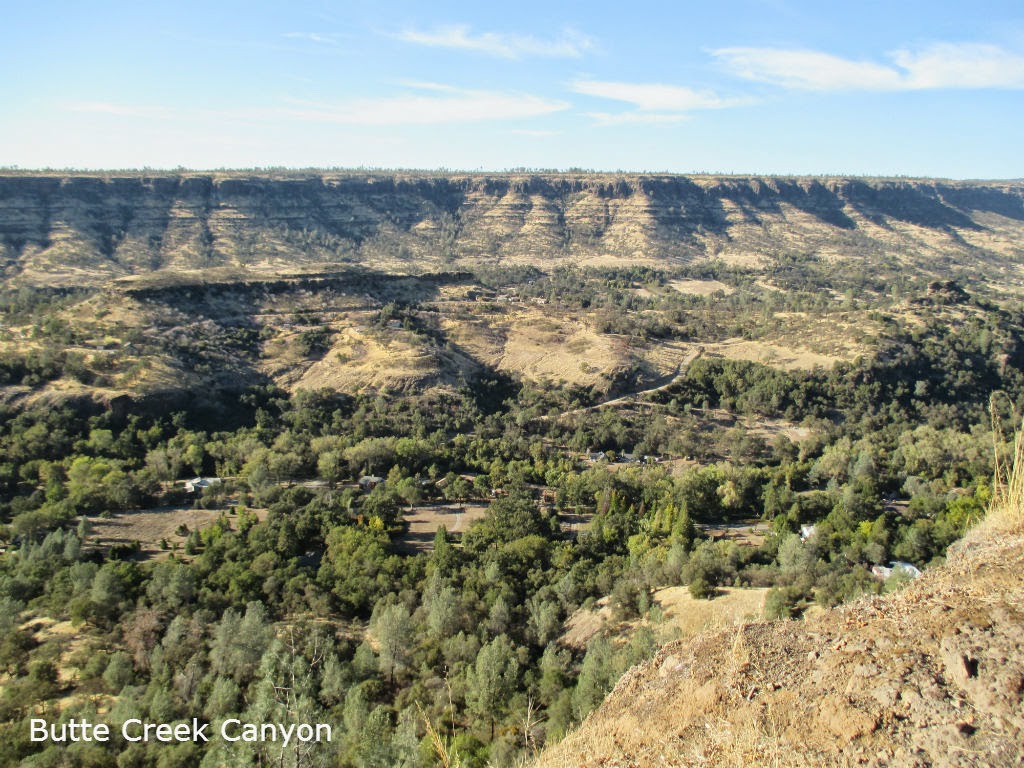 Trump is Anti-Choice. That's Q-CRAZY! Vote for Democrats in Every Race ...