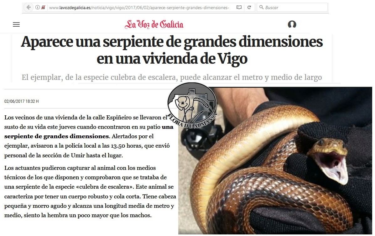 Reconocer serpientes peligrosas: nivel principiante