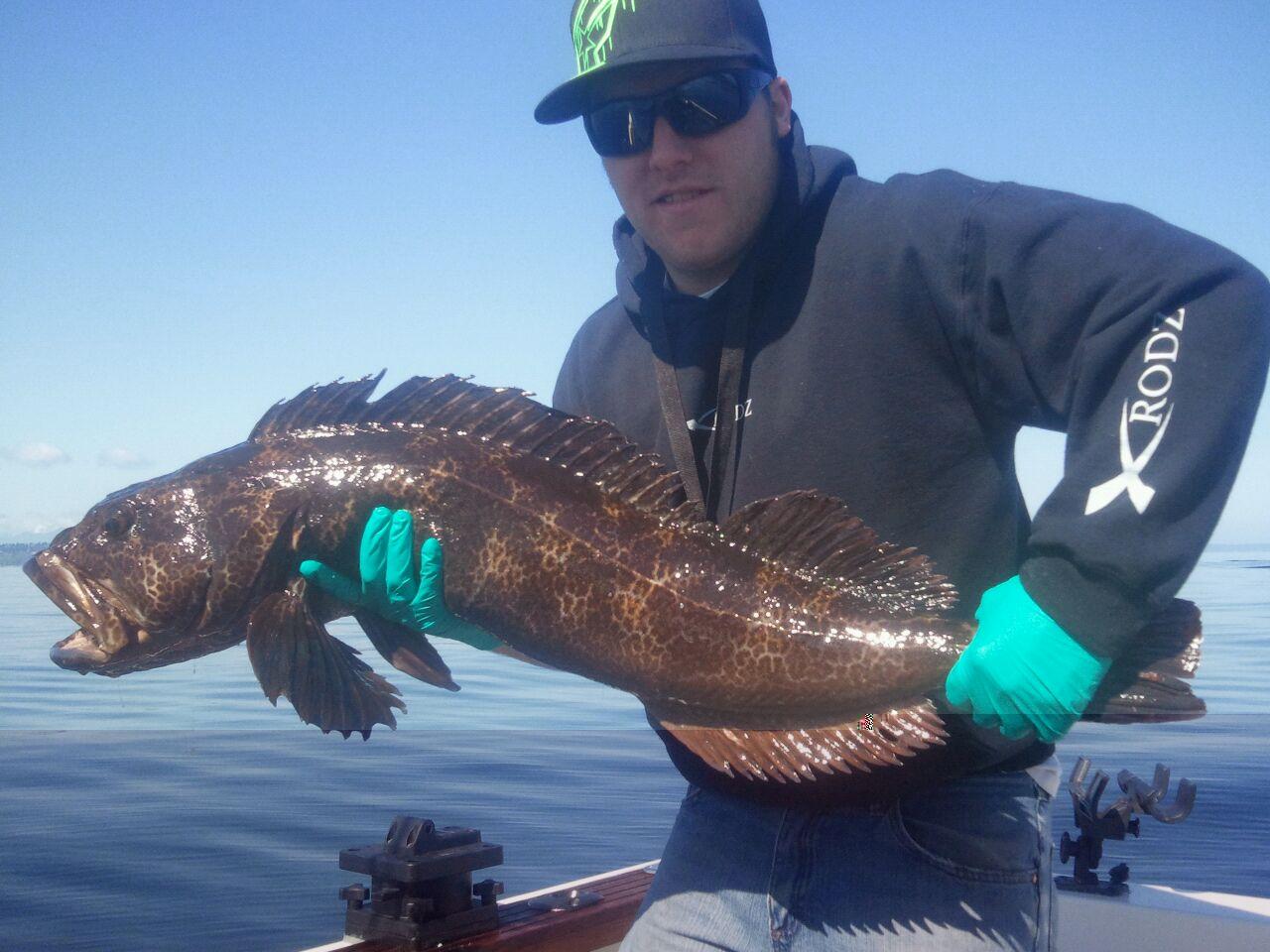 Northwest Salmon and Steelhead Fishing: Ling Cod Opener