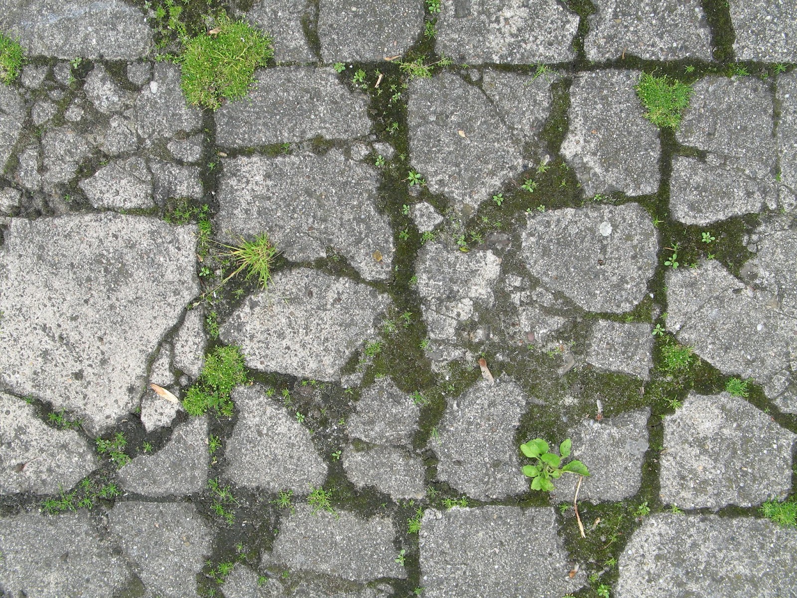 Sidewalk textures 1 - TextureHeaven
