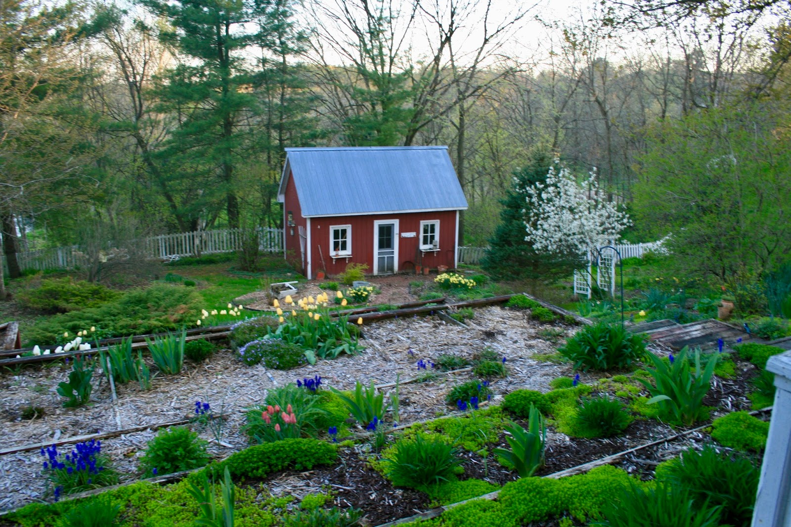 Amy's Creative Pursuits: My Early Spring Garden