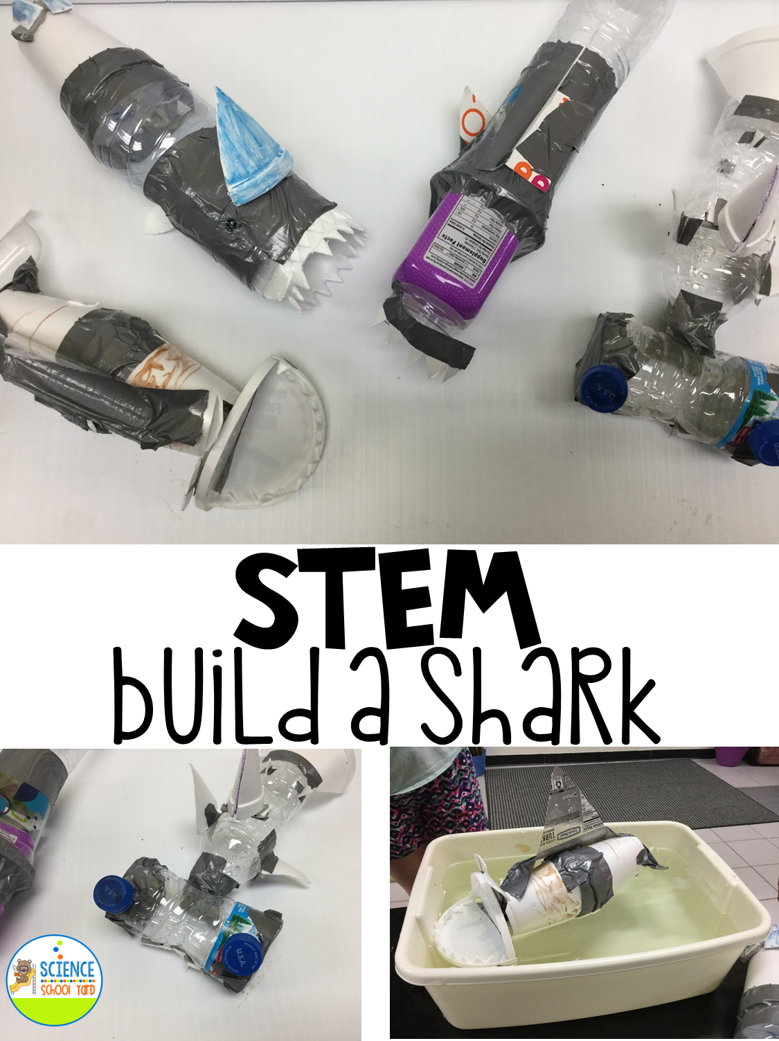 Shark STEM Connections - The Science School Yard