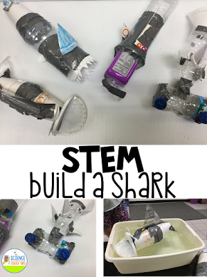 Shark STEM Connections - The Science School Yard