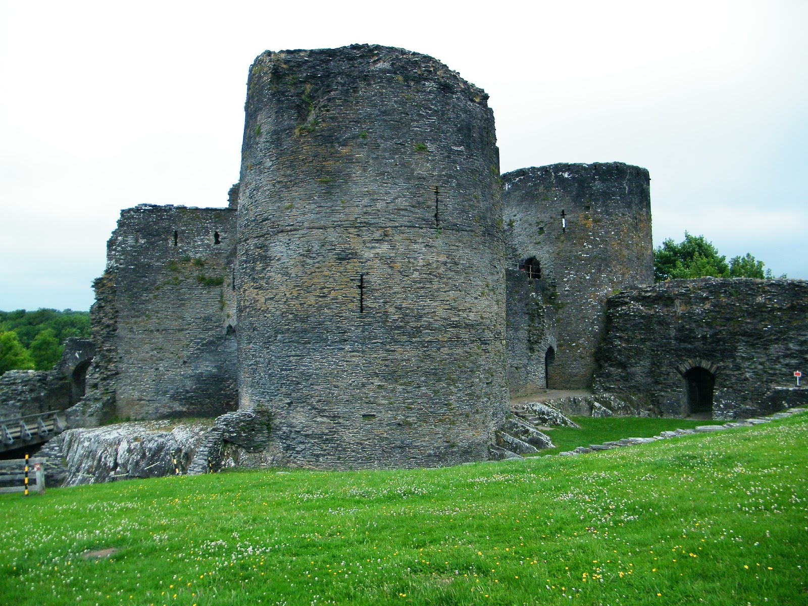 GREX LUPORUM: CILGERRAN CASTLE - CEREDIGION / WALES 2017