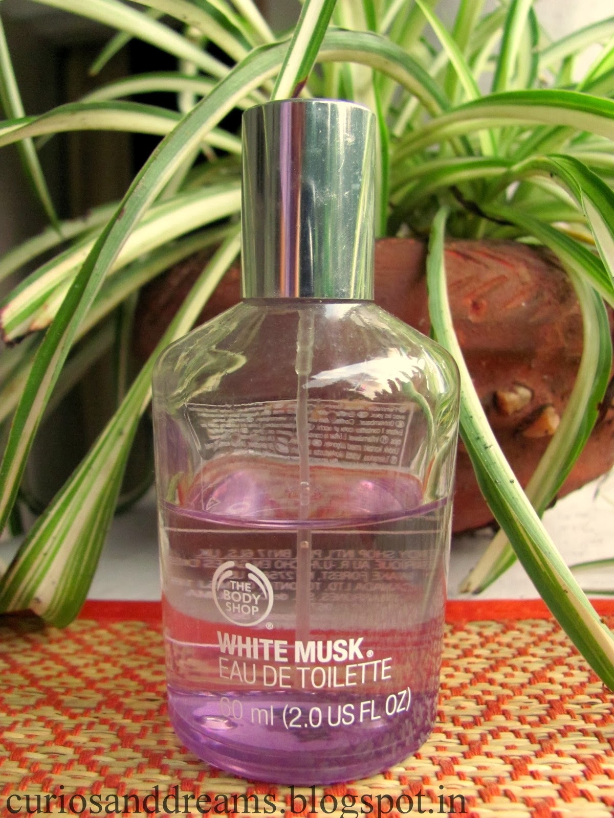 The Body Shop White Musk EDT : Review - Curios and Dreams - Indian Skincare and Beauty