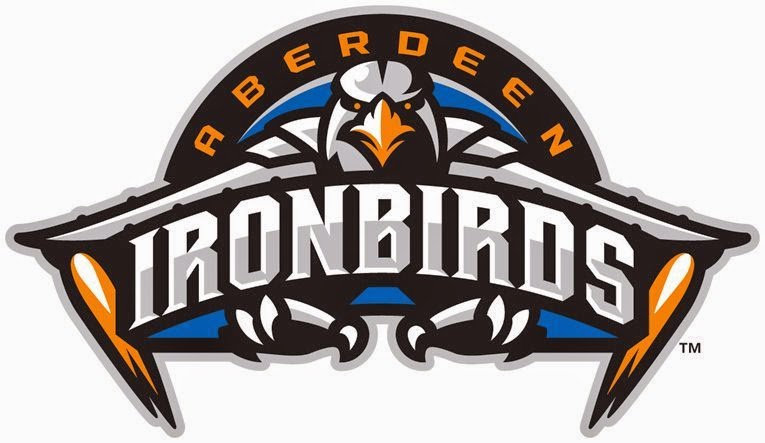 The Birdist: Grading Bird-themed Minor League Baseball Teams
