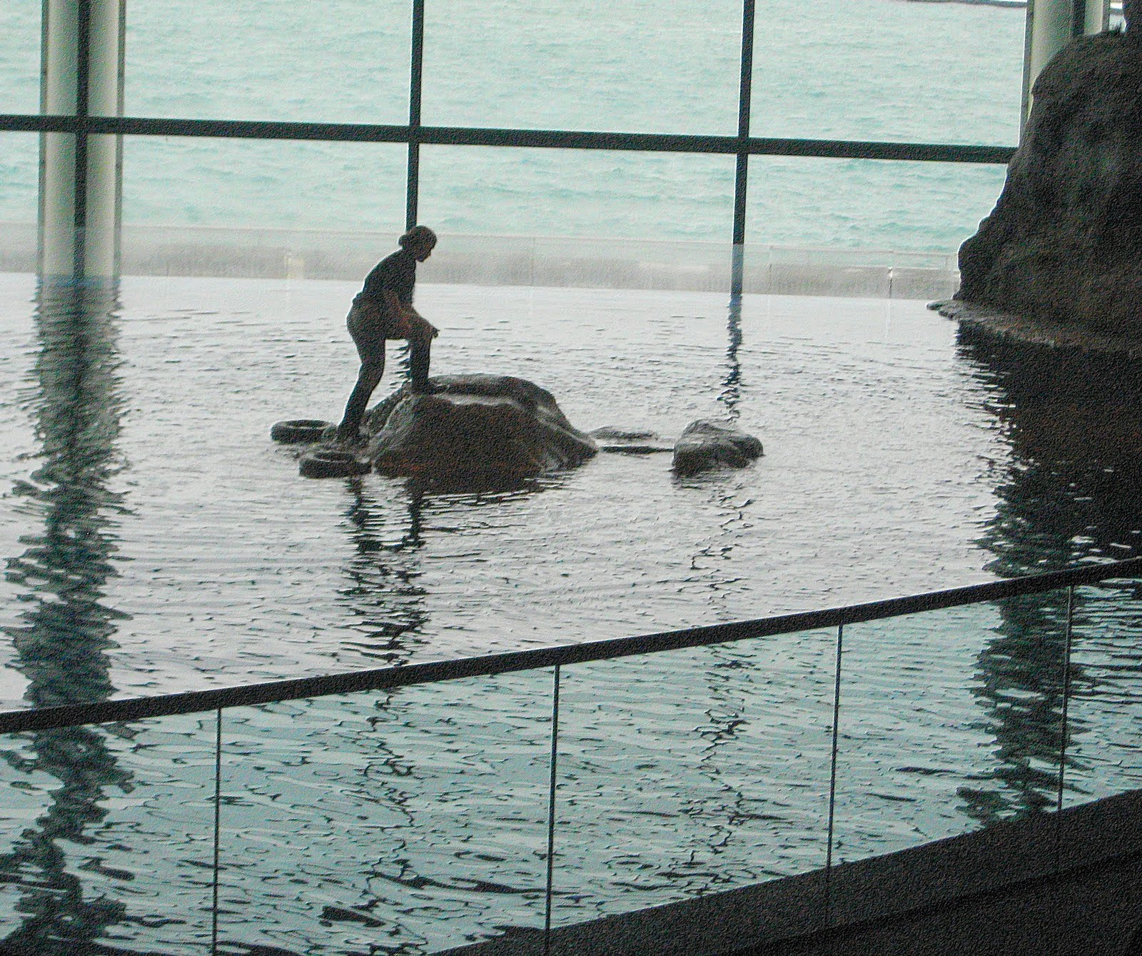 Living Rootless: Chicago: Day 2: Newbies at Large