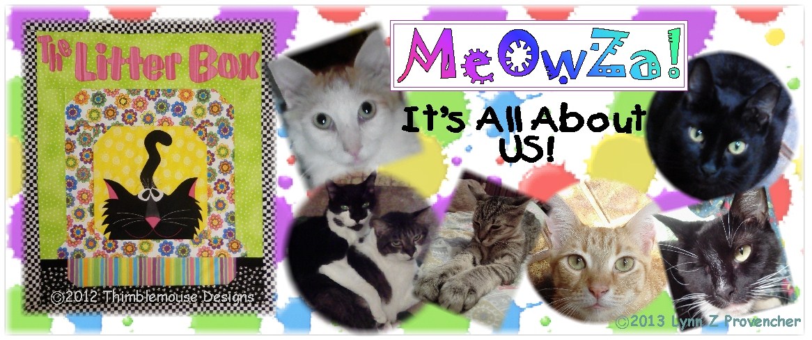 Thimblemouse & Spouse: MeOwZa!