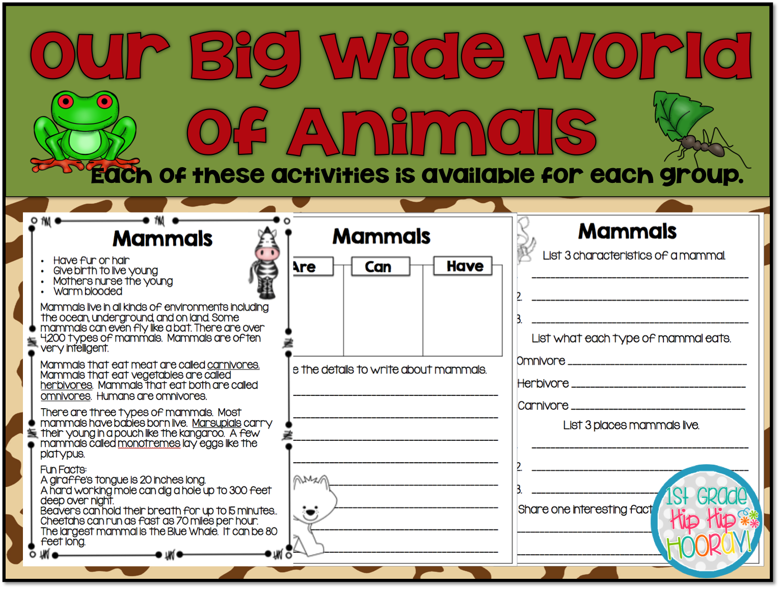 1st Grade Hip Hip Hooray!: Exploring Animals