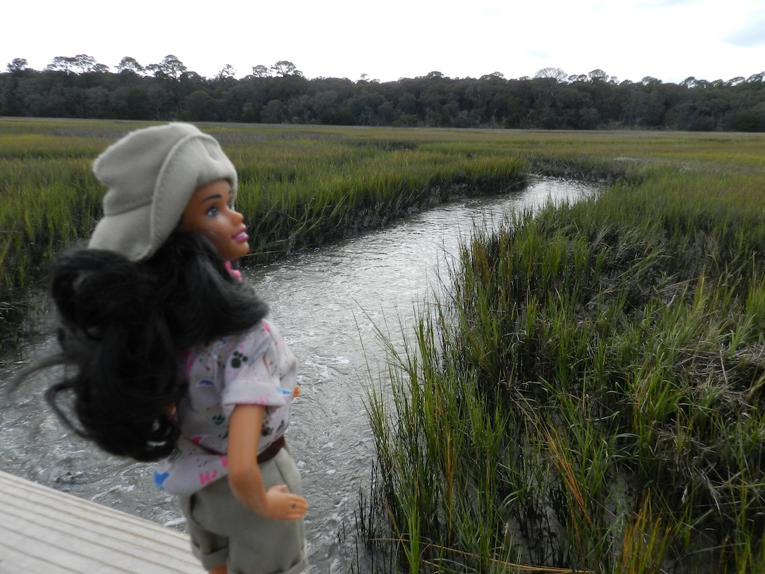 Coffee With Hallelujah: PALEONTOLOGIST BARBIE VACATIONS BY DOING BIKE ...