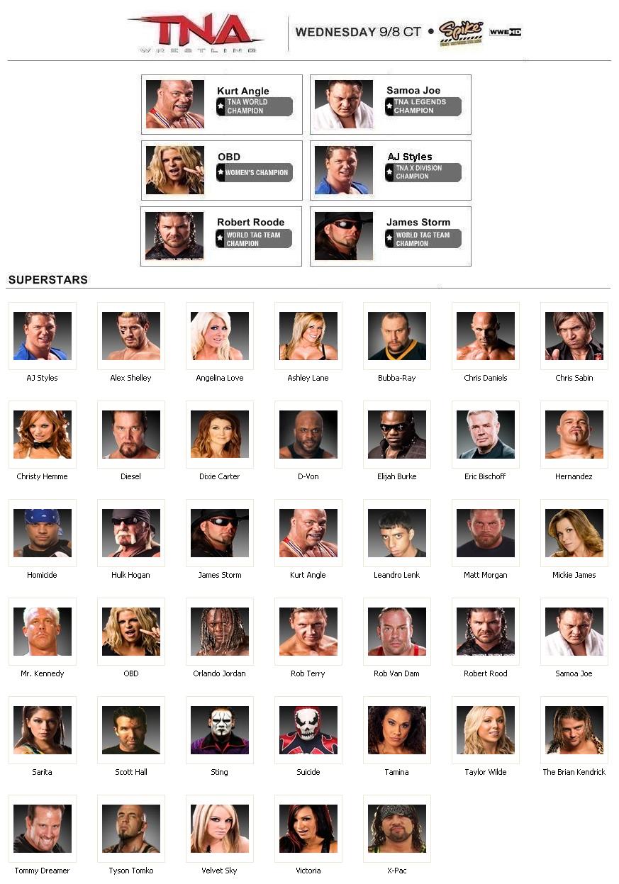 World Wrestling Entertainment HD (Fake): janeiro 2011