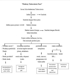Pathway Tb Paru