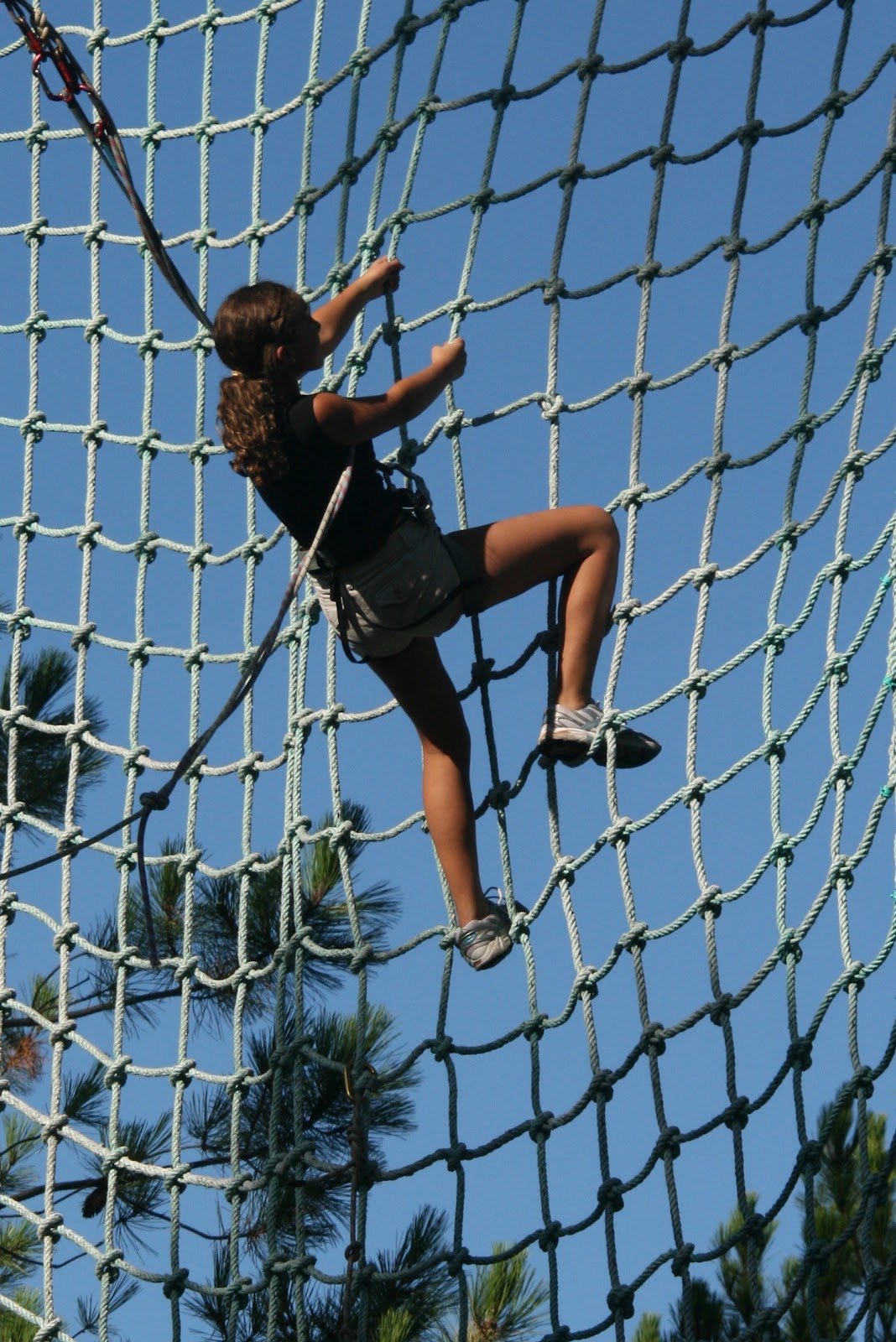 American Mom in Bordeaux: L' Accrobranche/Ropes Course - Le Porge/Lacaneau