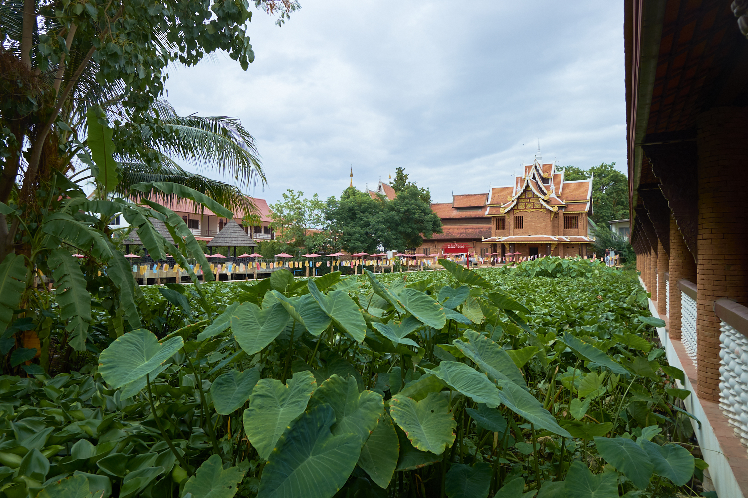 Hello Talalay: Wat Jet Lin In Chiang Mai