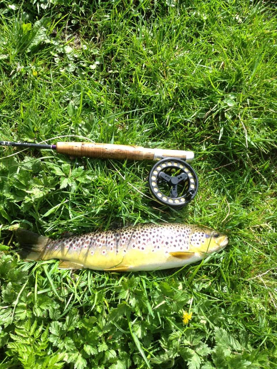 Piscari-Fly : Fishing on the River Nore Tomastown