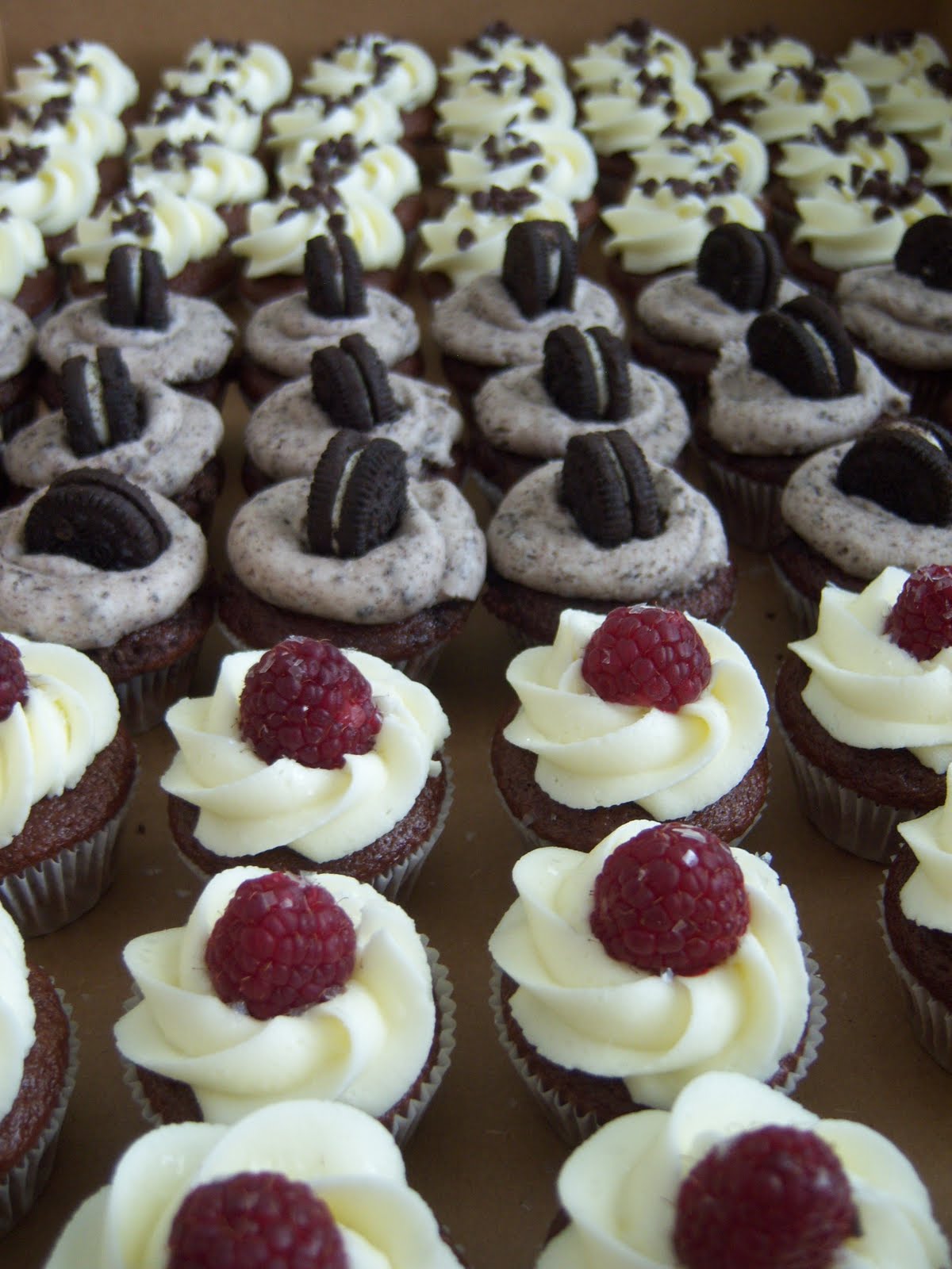 Creative Cakes By Angela: Mini Gourmet Cupcakes